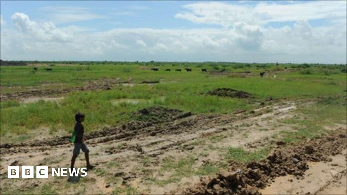 India cabinet clears key land reform bill - BBC News