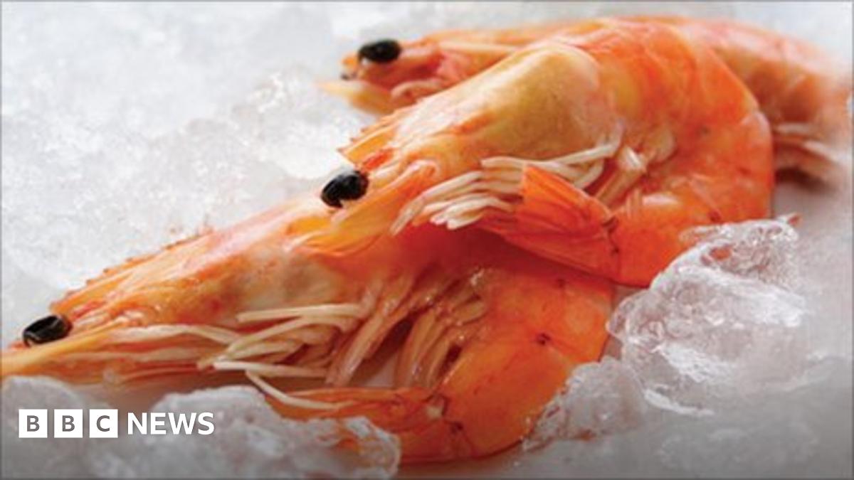 Prawn treatment firm Xyrex in US move - BBC News
