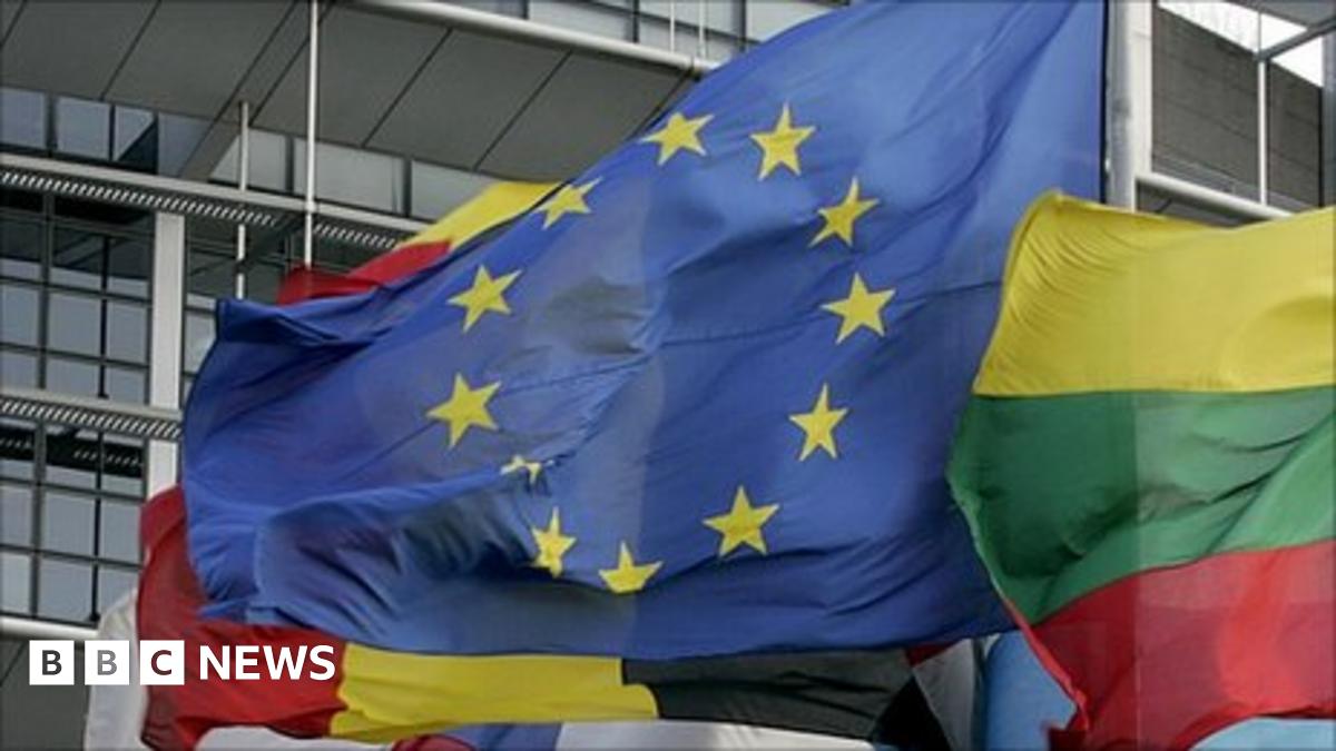 'Strong turnout' at new eurosceptic Conservative group - BBC News