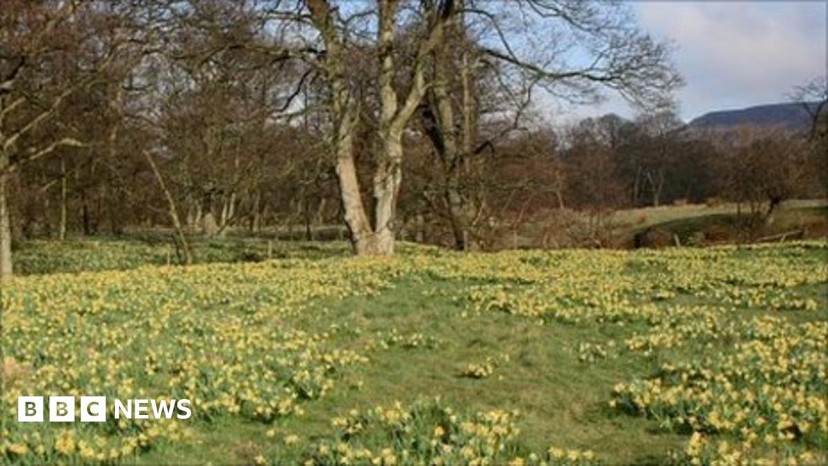 Shooting company fined over damage to Farndale - BBC News
