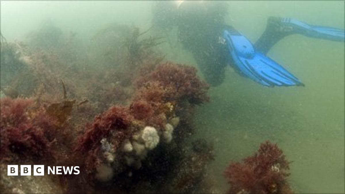 Underwater footage of 1859 Royal Charter shipwreck - BBC News