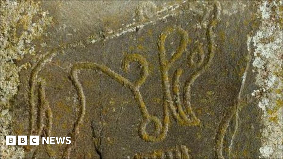 Pictish beast intrigues Highland archaeologists - BBC News