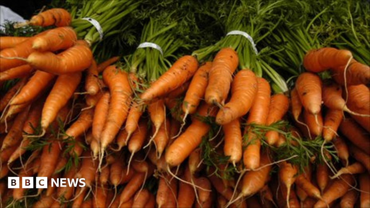 M25 services blamed for Cobham farmers market closure - BBC News