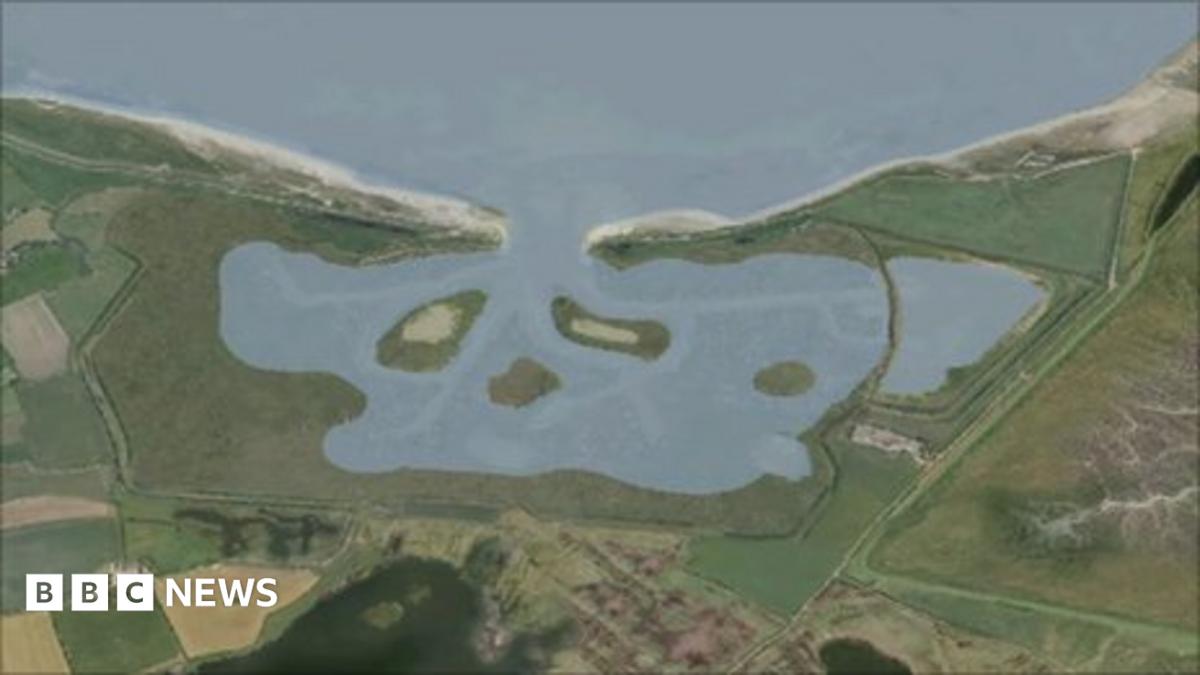 Views sought for habitat plan on Steart Peninsula - BBC News