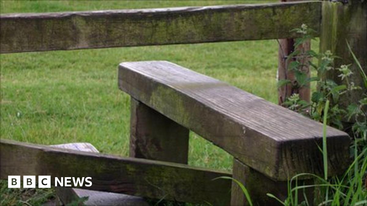 Big Walkabout day of Nottinghamshire guided walks announced - BBC News