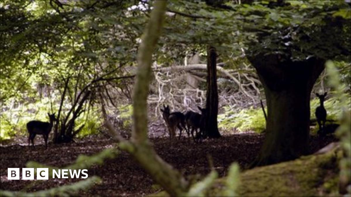 Sussex Police warning over Rother suspected poaching - BBC News