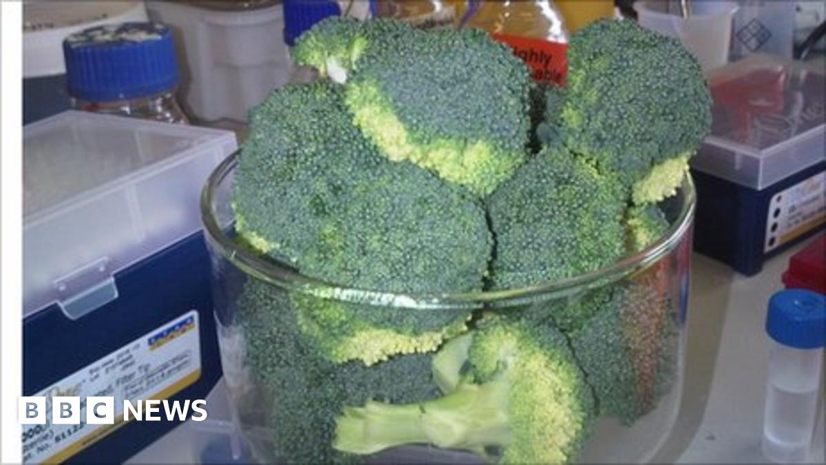 Cancer fighting broccoli created by Norwich scientists - BBC News