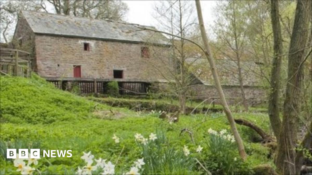 Cumbria's Acorn Bank Mill grinds first flour for 70 years - BBC News