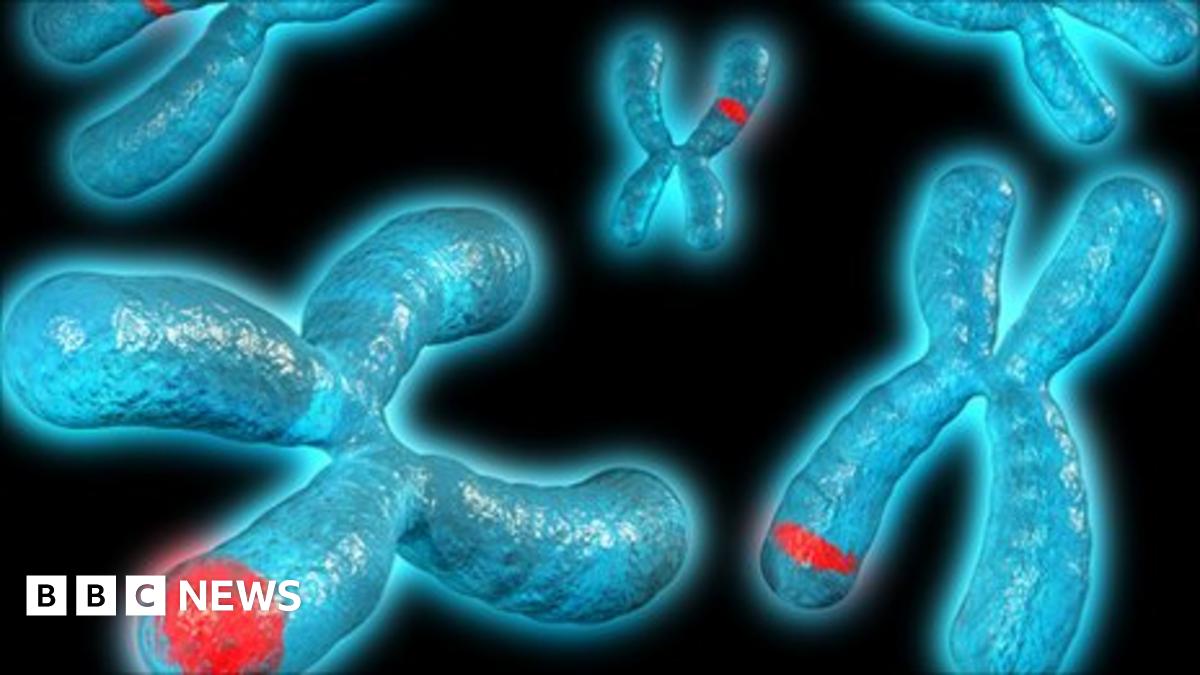 Gene therapy and stem cells unite - BBC News