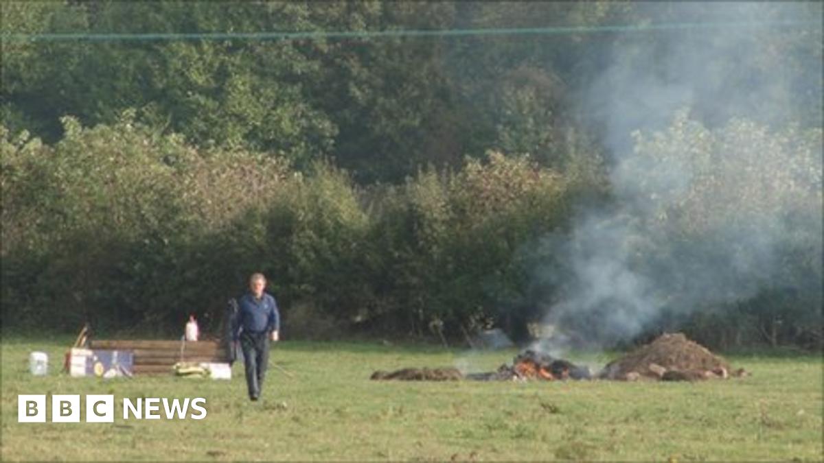 Anthrax tests in Herefordshire after cow carcass burned - BBC News