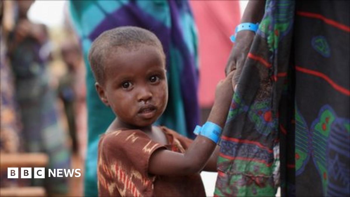 UK overseas aid lost to fraud 'could rise' - BBC News