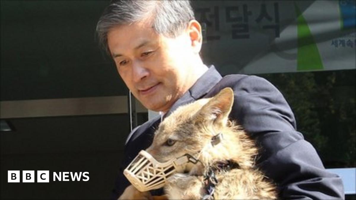 Disgraced S Korean cloner Hwang back with coyote claim - BBC News