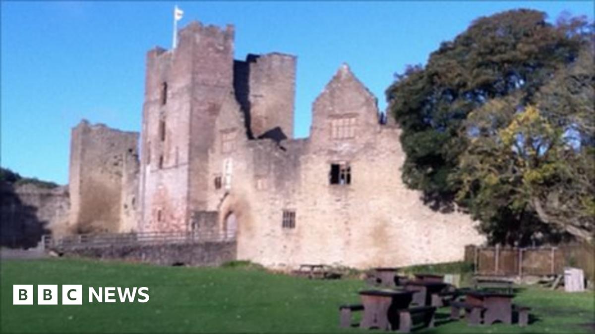 Saving castles for the future - BBC News