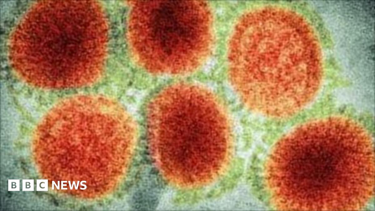 Study finds link between swine flu and stillbirth - BBC News