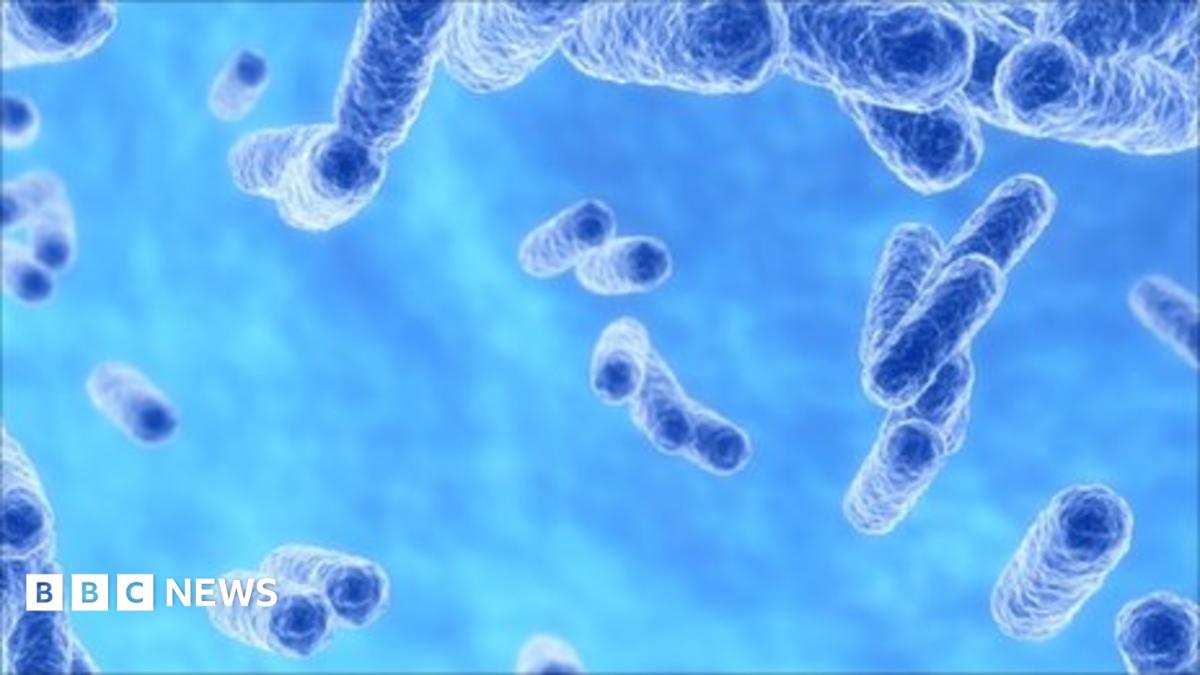 Viewpoint: How do our bacteria help us? - BBC News