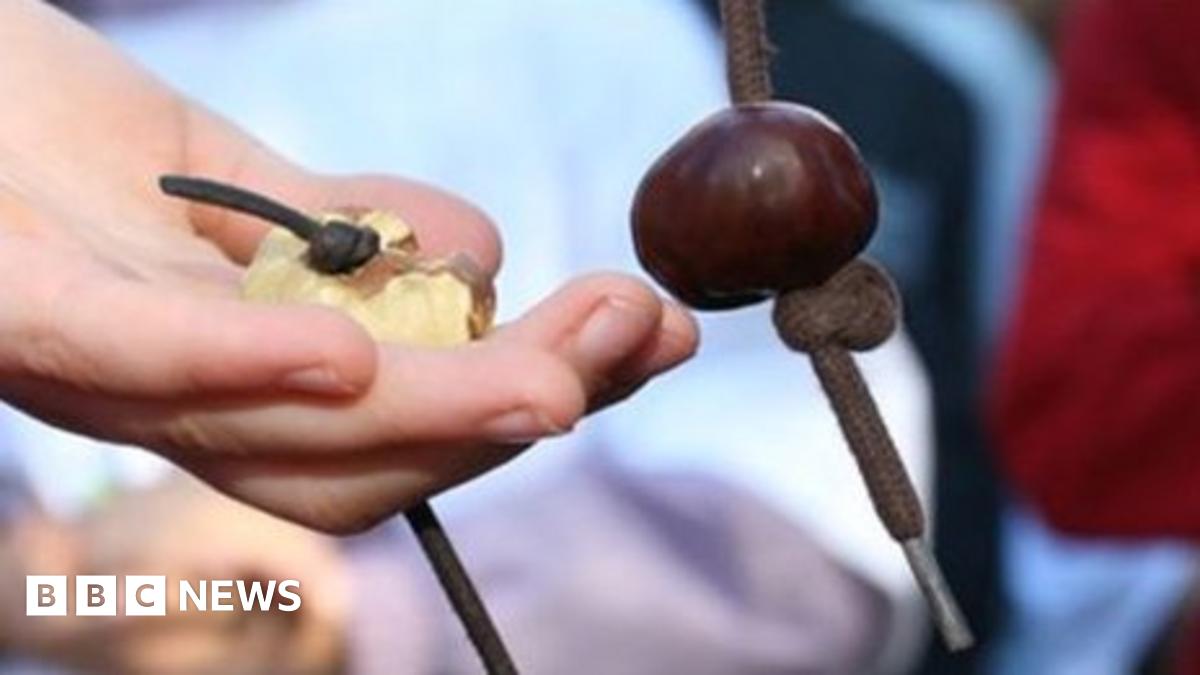 New Scottish conkers champion crowned - BBC News