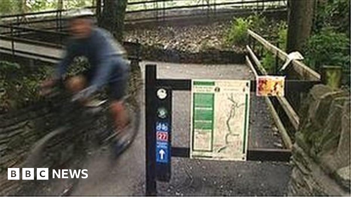 Plymbridge Woods off-road cycle trail plans approved - BBC News