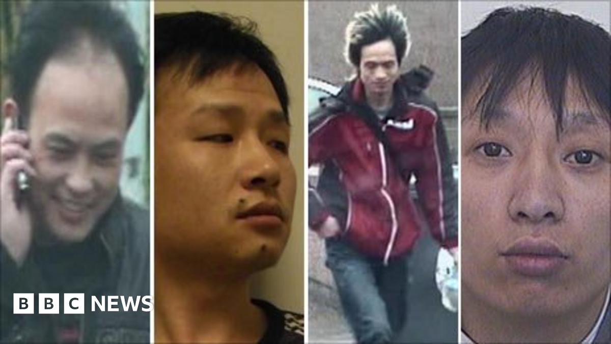 Gang grew cannabis former US base near Thurso - BBC News