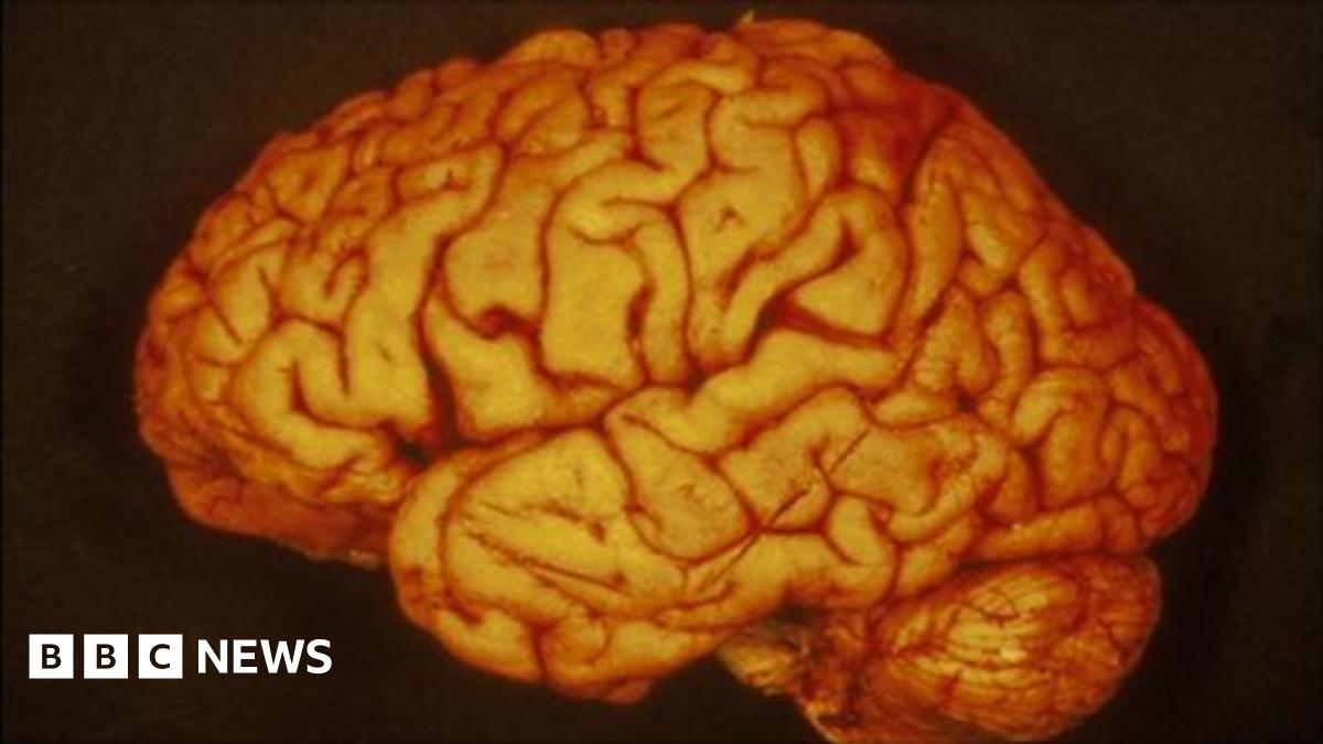 Scientists at MIT replicate brain activity with chip - BBC News