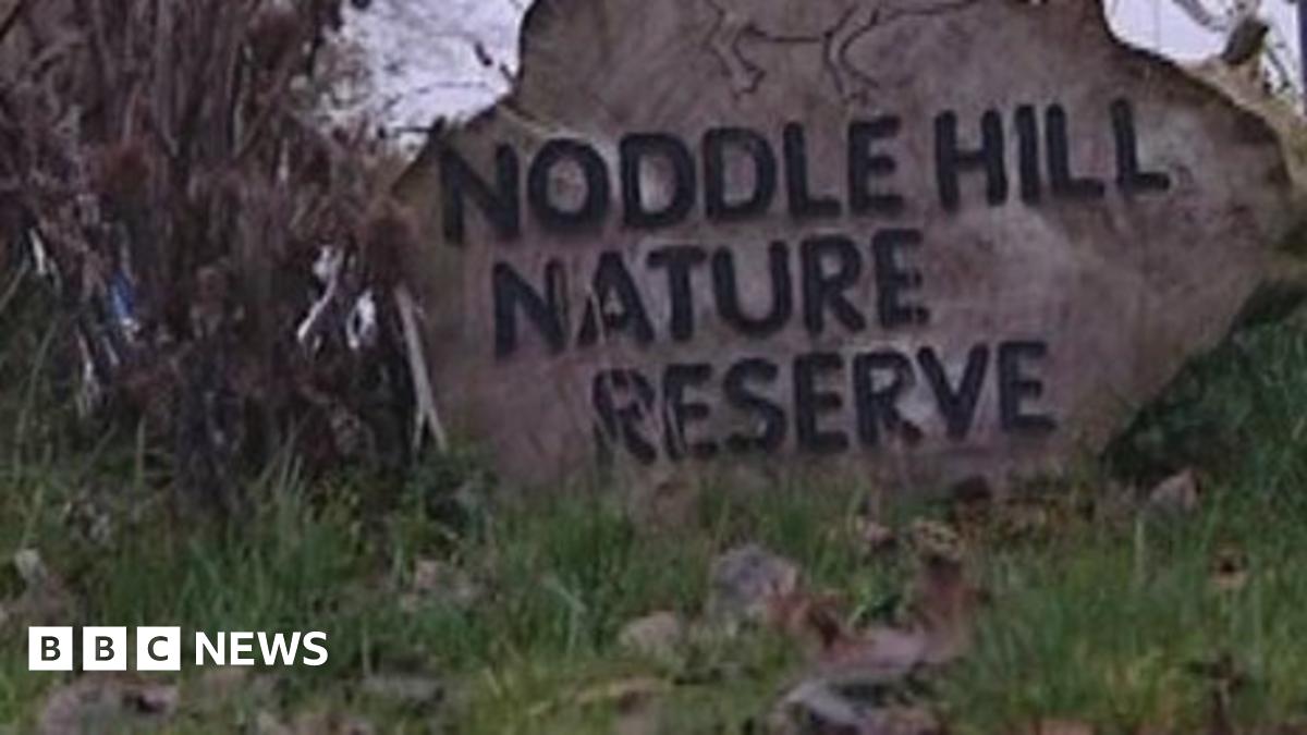 Hull's first nature reserve Noddle Hill opens - BBC News