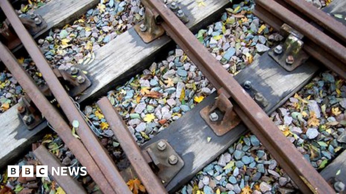 Spalding rail cargo depot petition calls rejected - BBC News