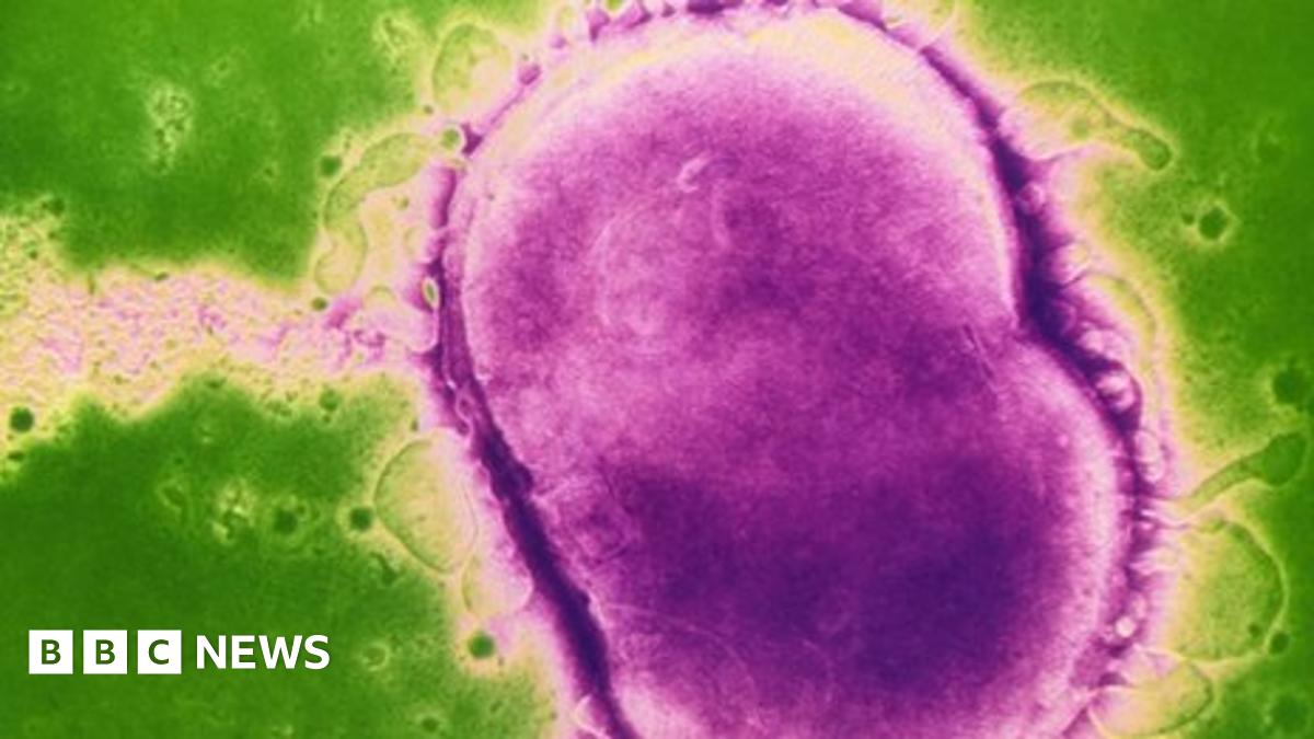 Sheffield students take part in meningitis study - BBC News