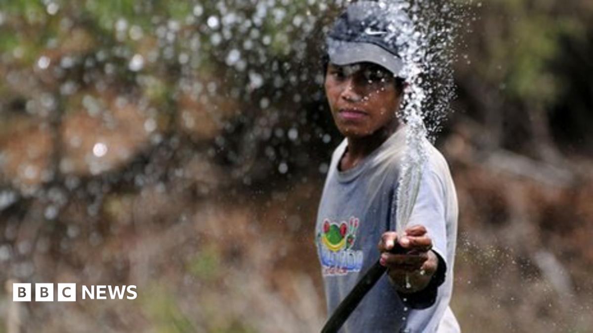 How rainwater harvesting is helping Nicaraguan farmers - BBC News