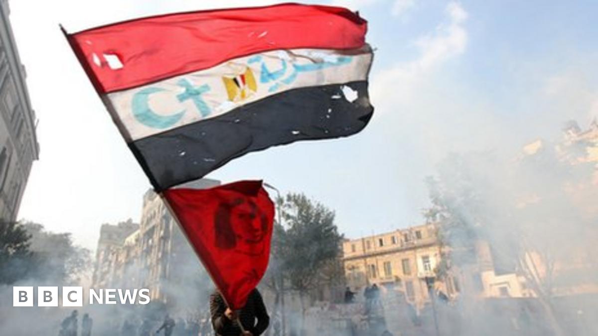 Profile: Egypt's Freedom and Justice Party - BBC News