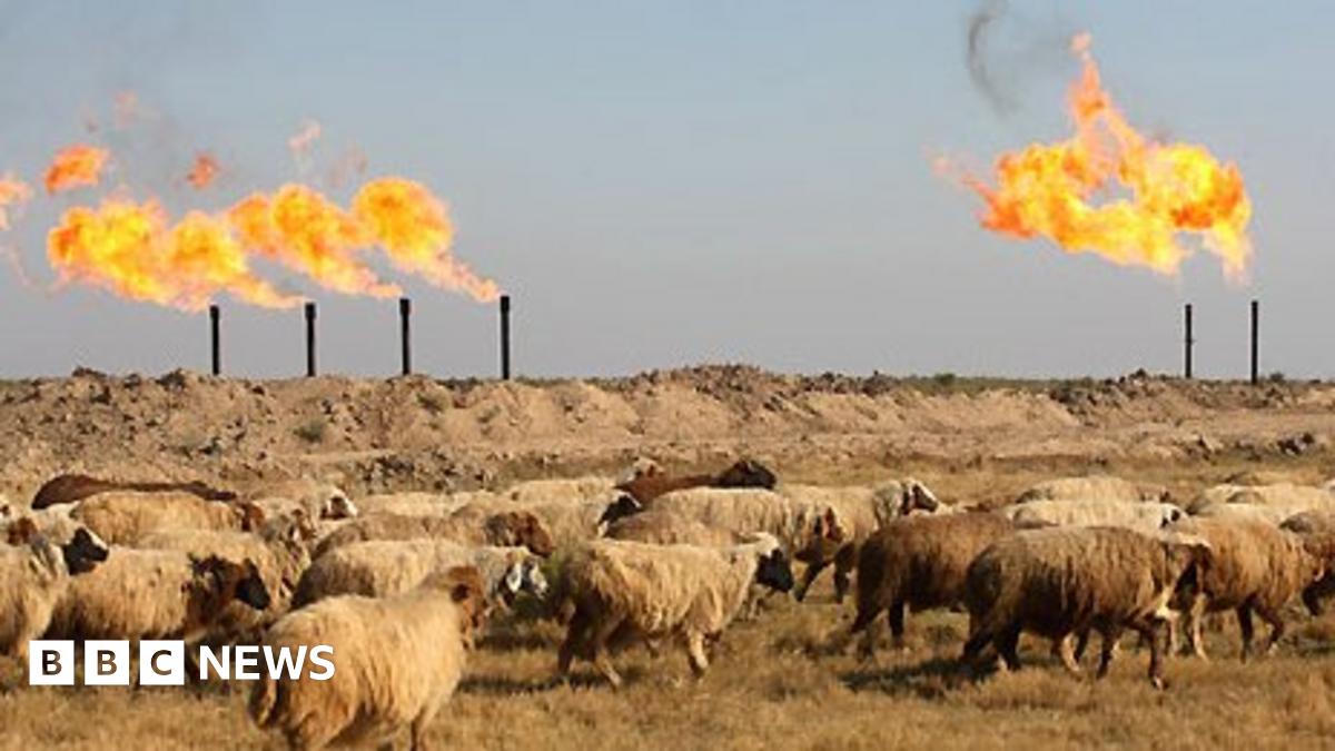 Shell and Iraq in new energy deal - BBC News