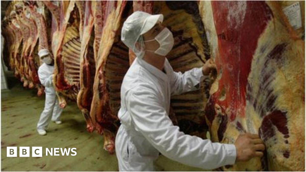 Should animals be stunned before slaughter? - BBC News