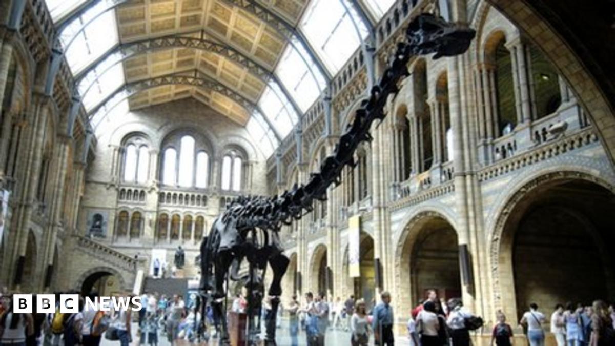 Free museums: Visits more than double - BBC News