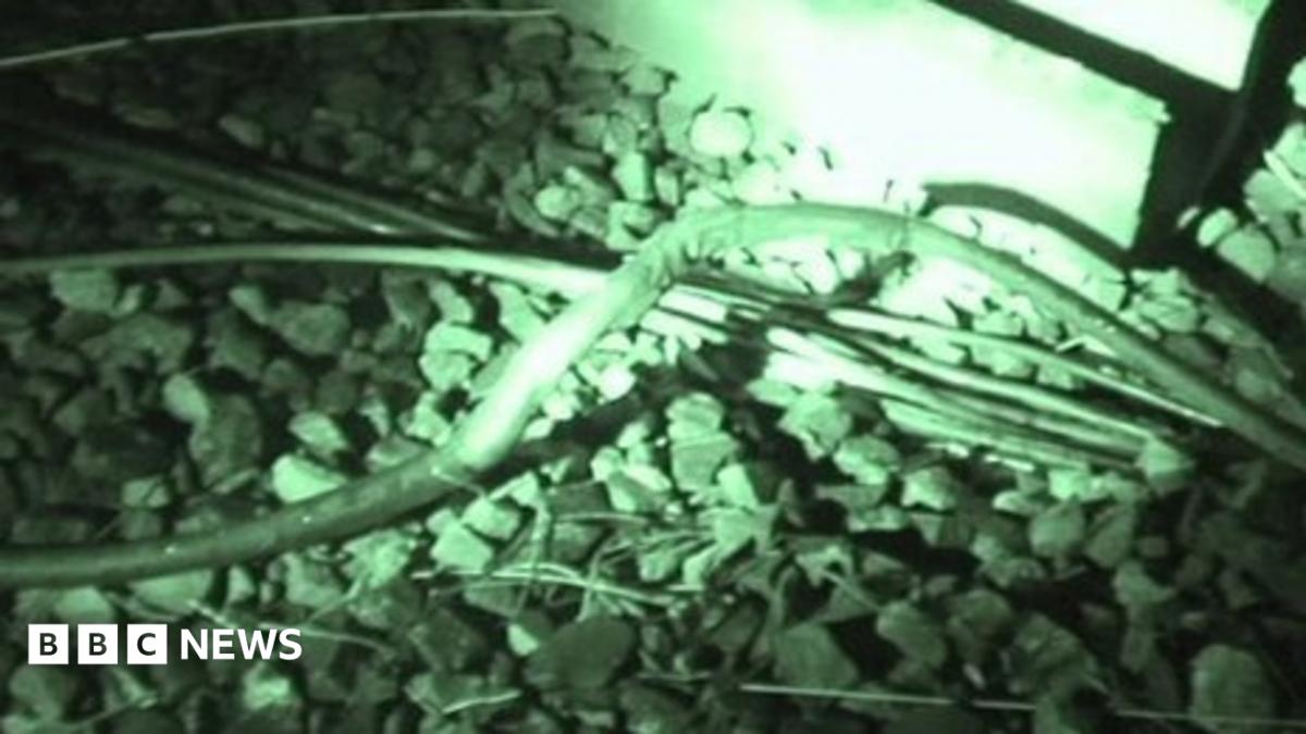 North East cable thieves 'include teenagers' - BBC News