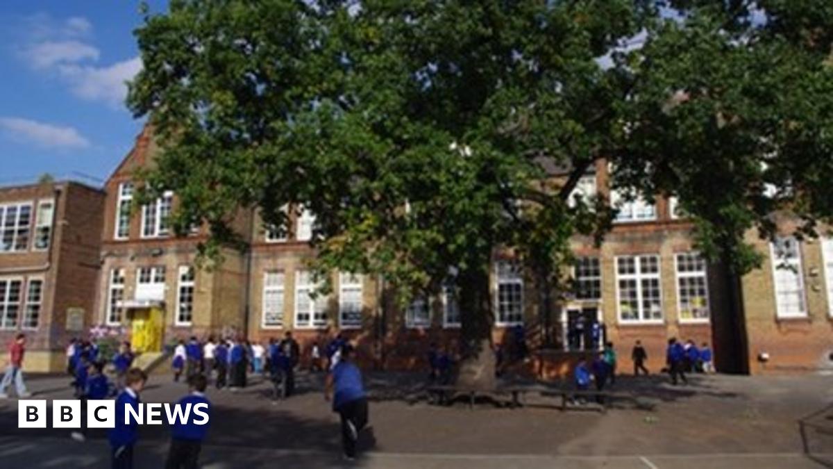 Hundreds back Tottenham school campaign against academy - BBC News
