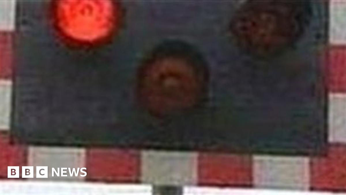 Viaduct scheme at Ely level crossing, costing £28m, set to be backed ...