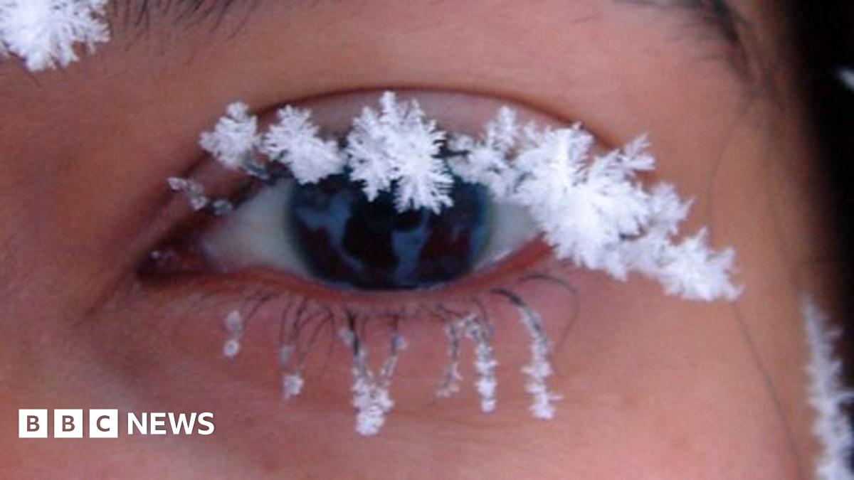 Your pictures: Chilly - BBC News