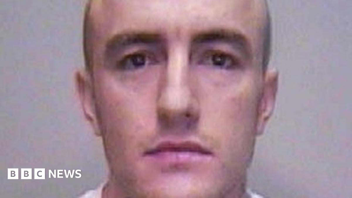 Driver admits injuring Nottingham special constable - BBC News