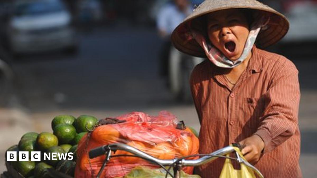 Vietnam's economic growth slows amid rising inflation - BBC News