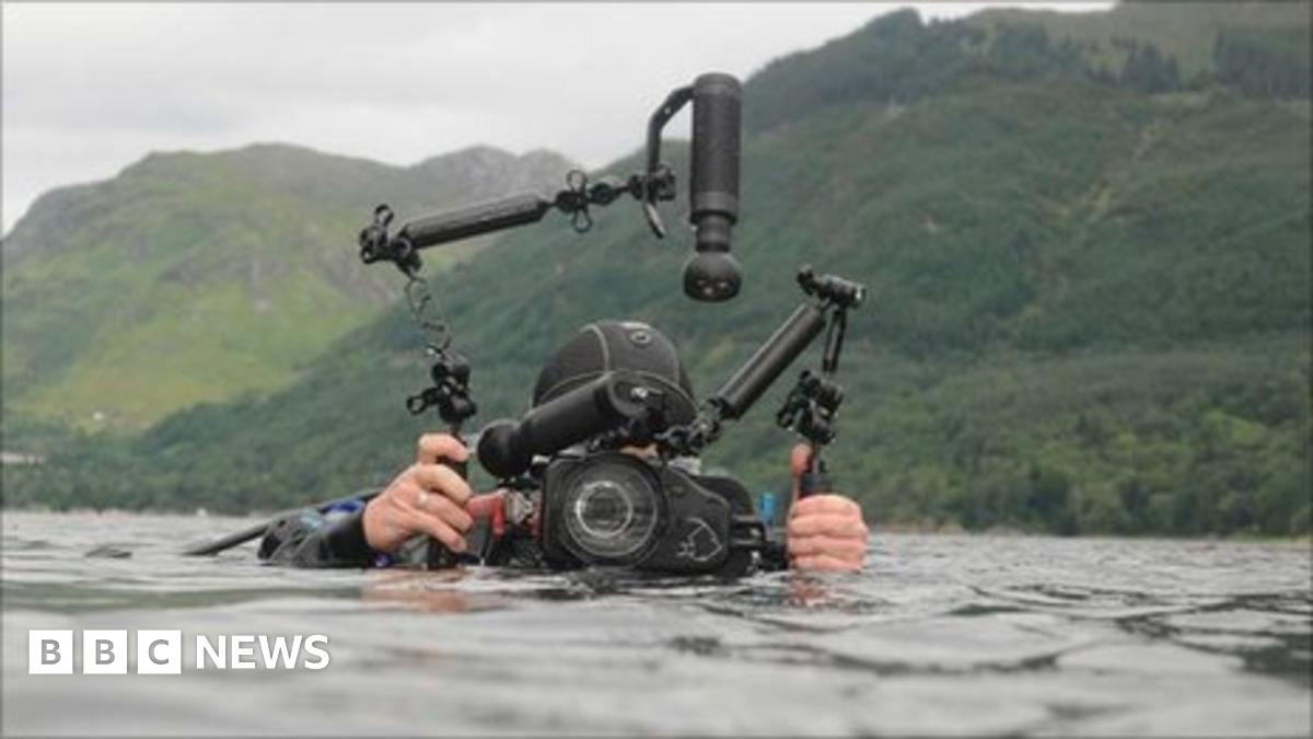 Marine surveys record 'brainless fish' off Orkney - BBC News