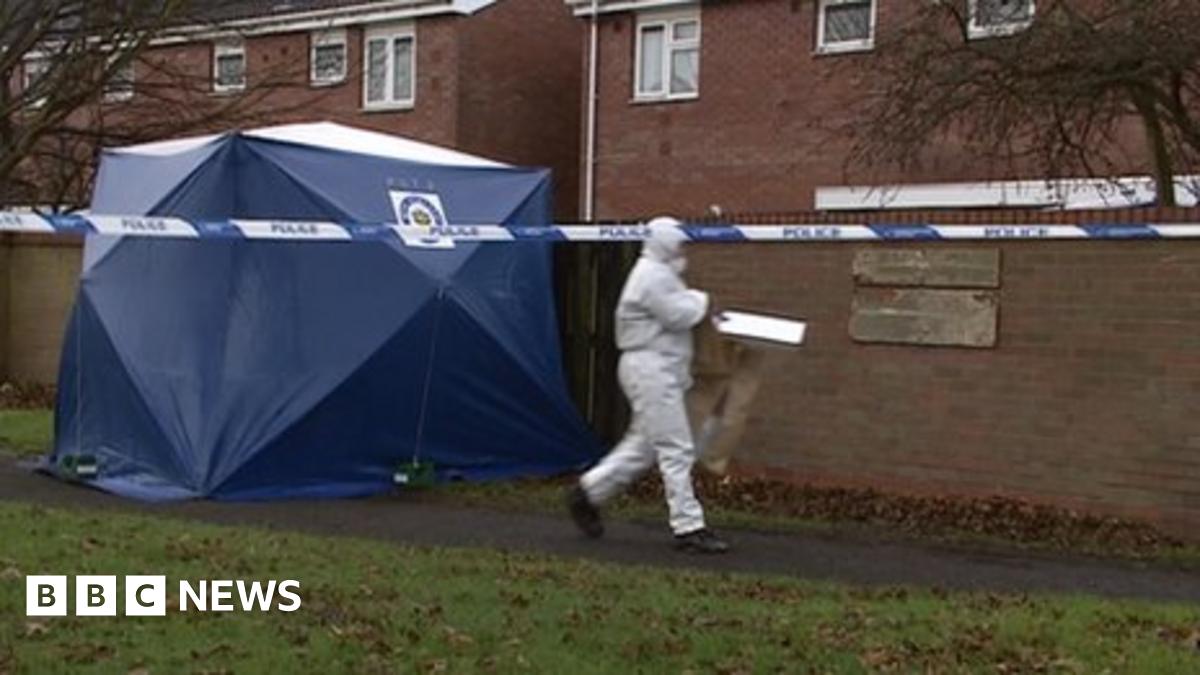 Wolverhampton fatal stabbing: Boy may be witness - BBC News