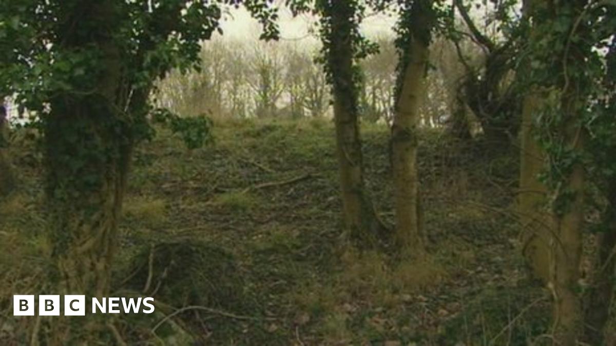 Bathwick Woods remains are man aged 40 to 65 - BBC News