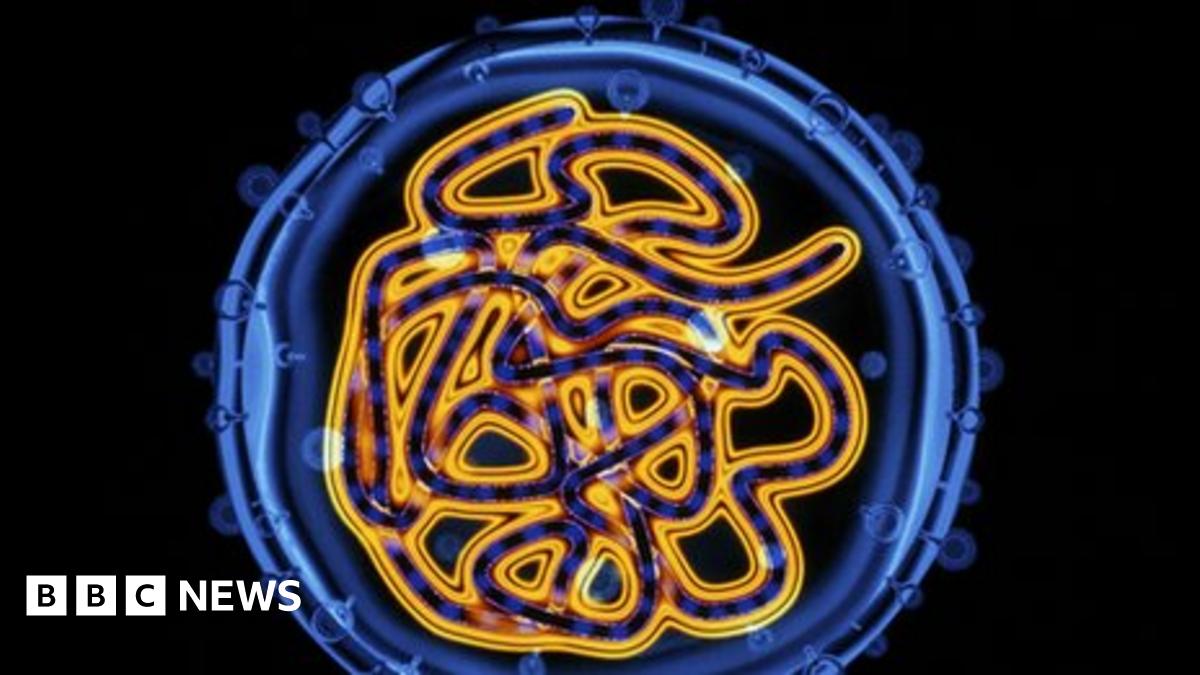 Hepatitis C vaccine: Oxford researchers' trial 'promising' - BBC News