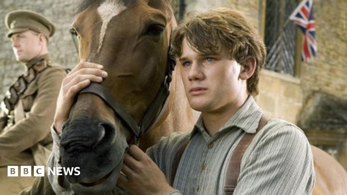 Getting Spielberg's War Horse ready for his close-up - BBC News