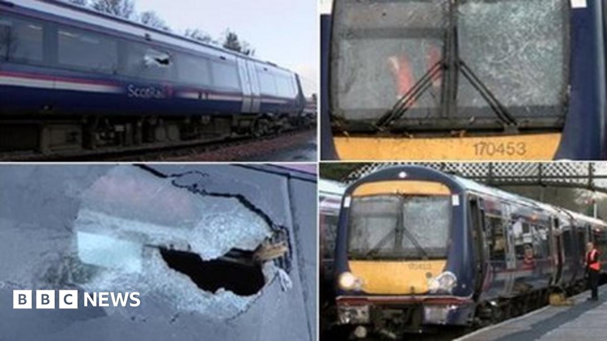 Passengers injured as train hits tree after storms - BBC News