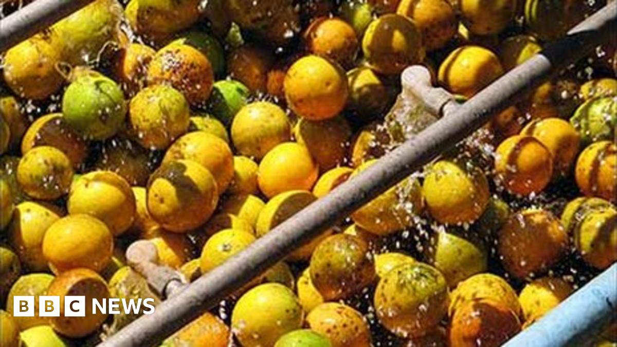 Orange juice prices hit record - BBC News