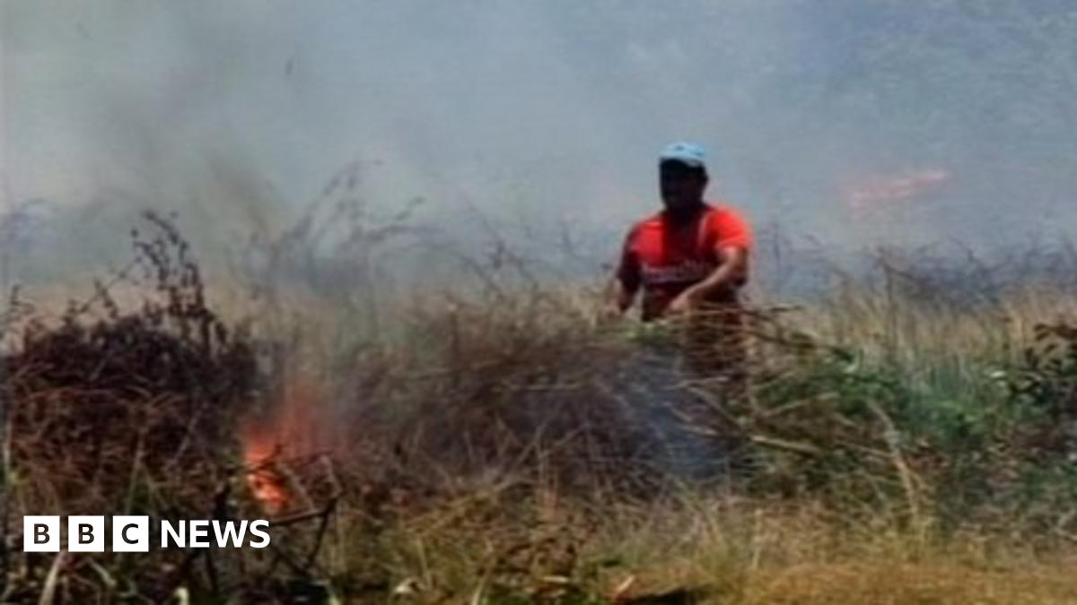 Strathclyde University scientists end marabu weed nightmare - BBC News