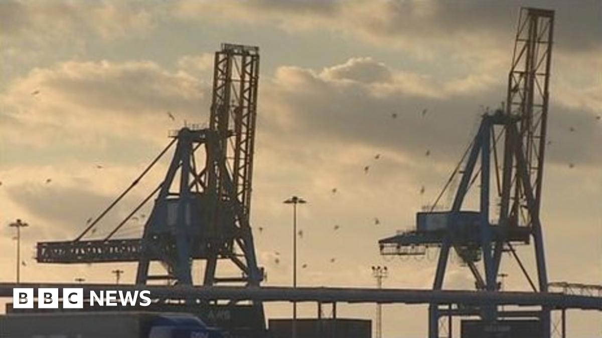 Plans for Hull biomass energy plant unveiled - BBC News