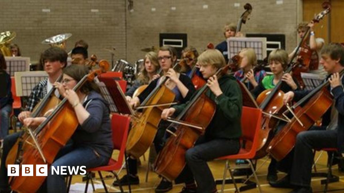 Musicians wanted to celebrate orchestra's anniversary - BBC News