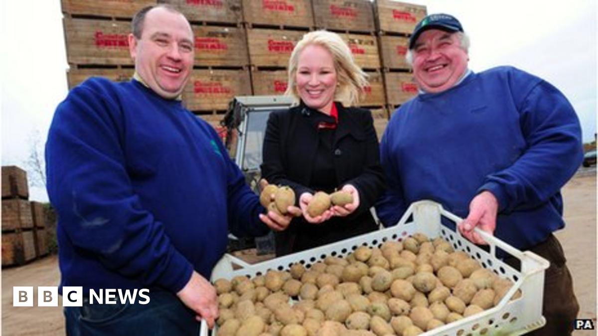 Comber spuds get European protected status - BBC News