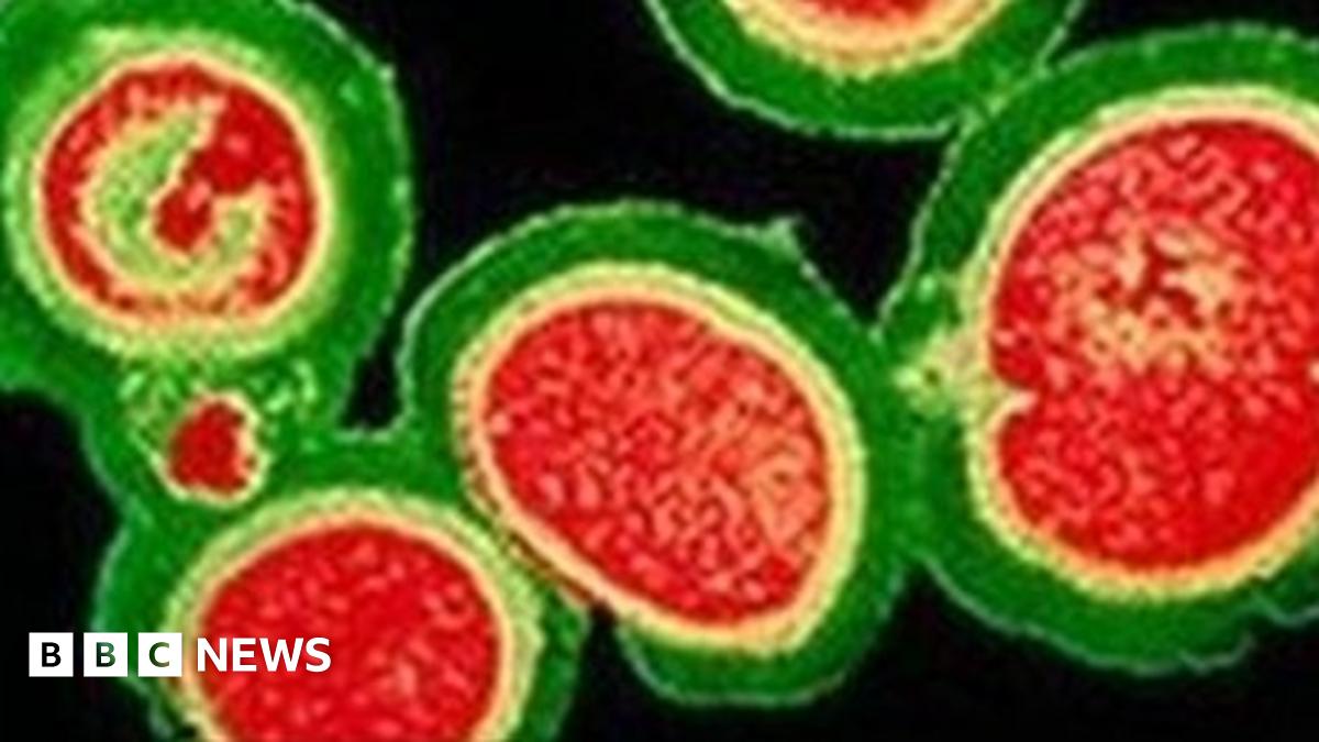 Study 'sheds new light' on how superbugs resist antibiotics - BBC News