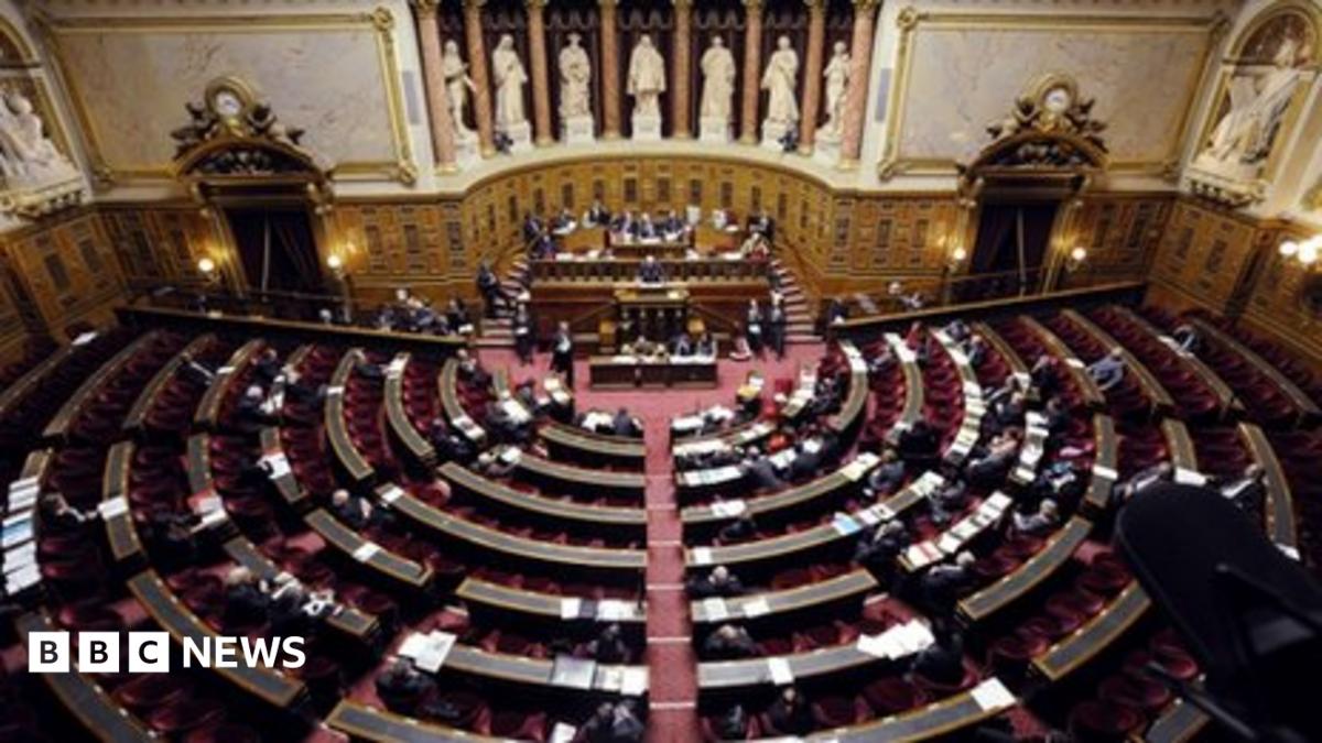 France Turkey row: Genocide bill faces court hurdle - BBC News